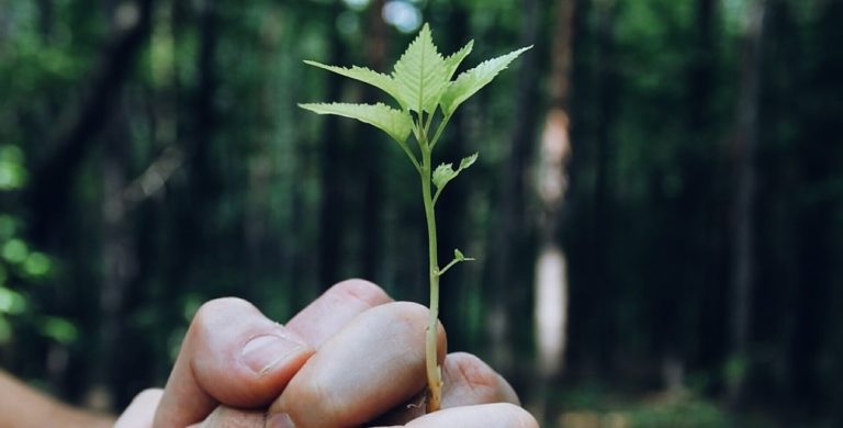 Principle One: Equitable Use – Access Central: Universal Design ...